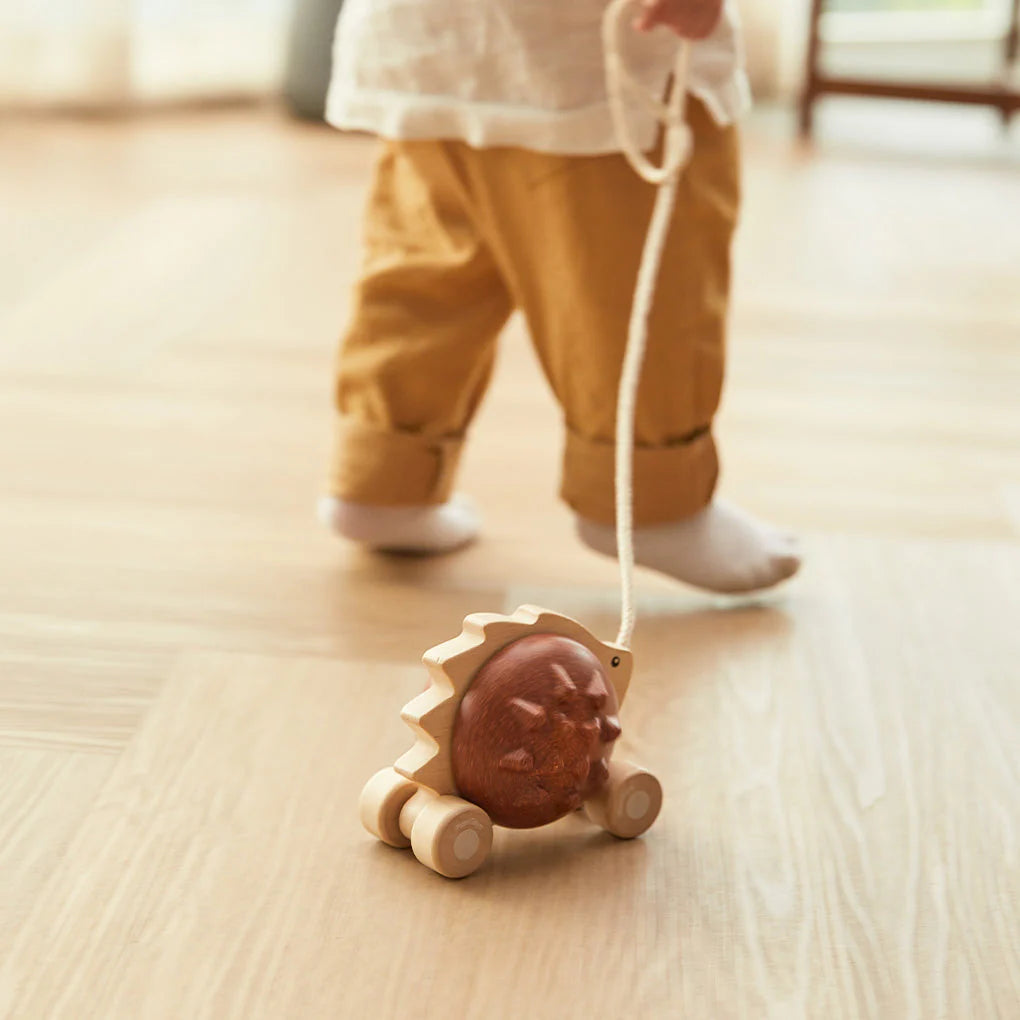 PLAN TOYS PULL ALONG HEDGEHOG – Magic Piper